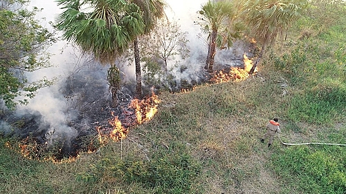 Wildfires in the Pantanal region skyrocket to worst level ever | Geral